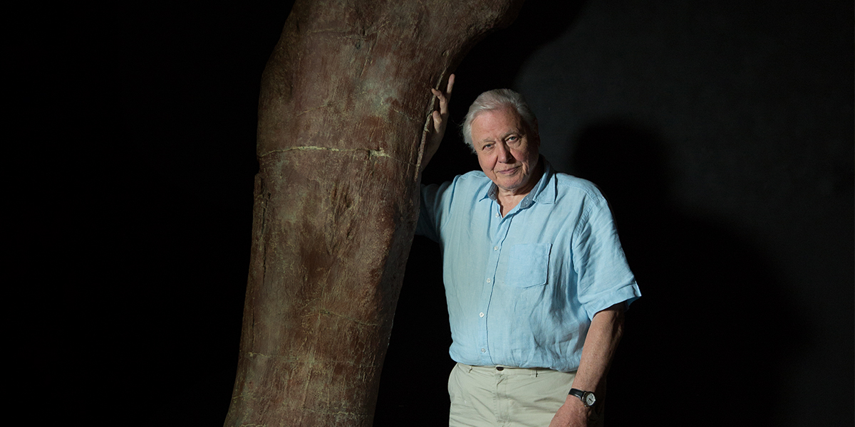 Attenborough and the Giant Dinosaur - BBC Earth