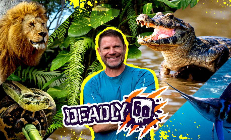 Deadly 60 on a Mission - BBC Earth